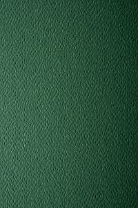 Netuno 10x fir Green Textured cardstock A5 148x210mm 220g Prisma Pino ...