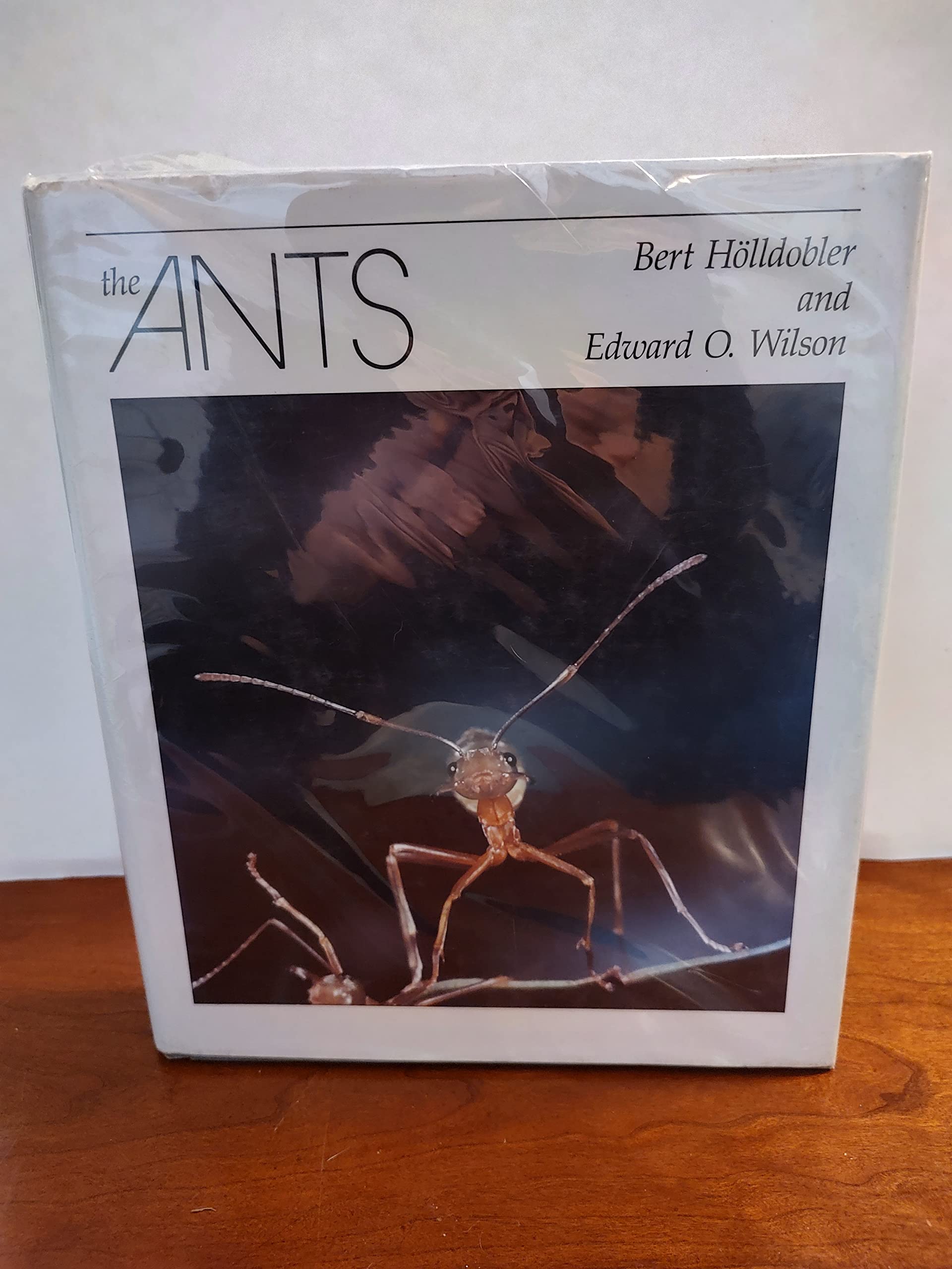 The Ants: Bert Holldobler, Edward O. Wilson: 9780674040755: Amazon.com ...