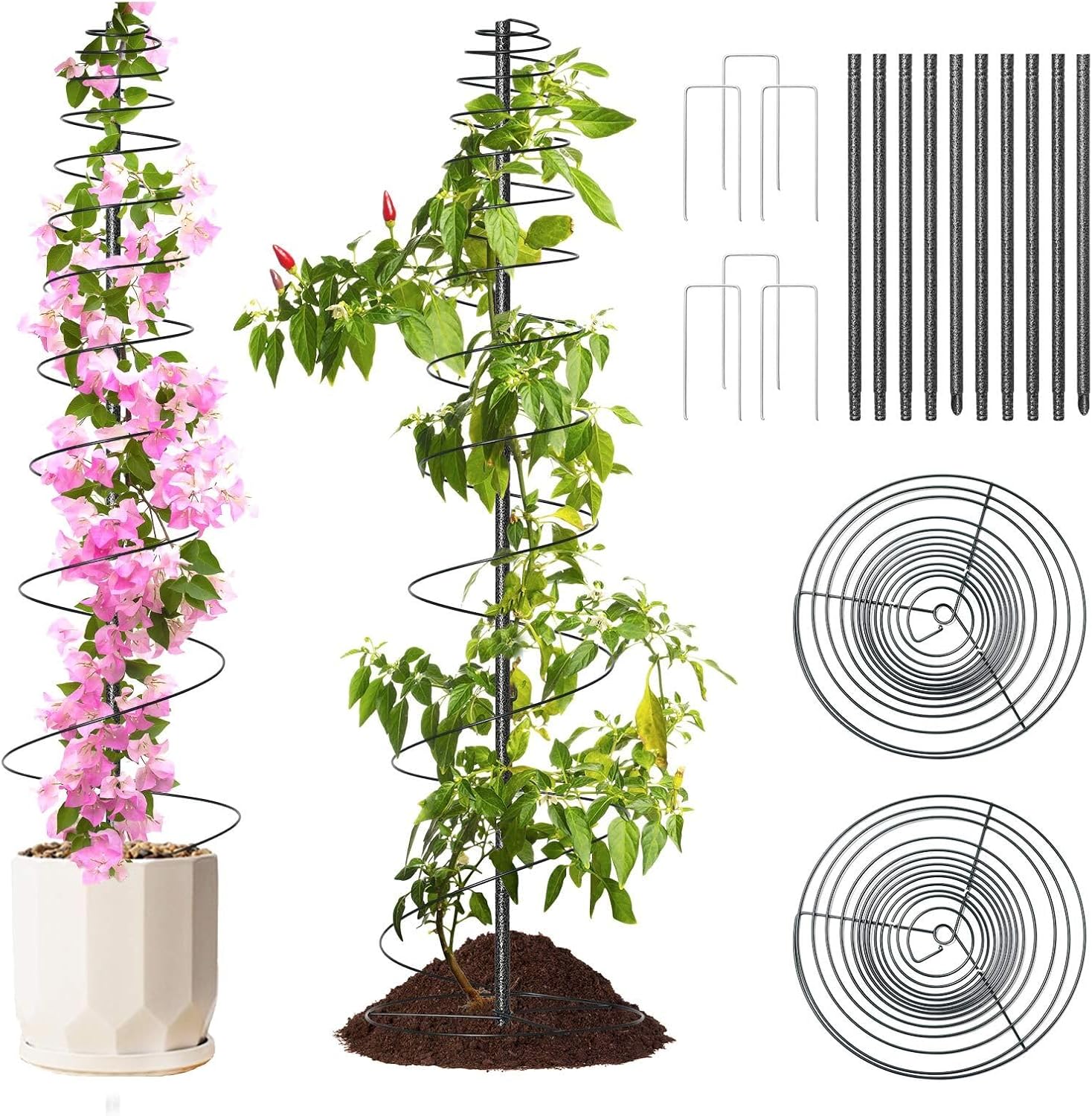 Amazon.com : 2 Pack Spiral Metal Garden Trellis for Climbing Plants ...