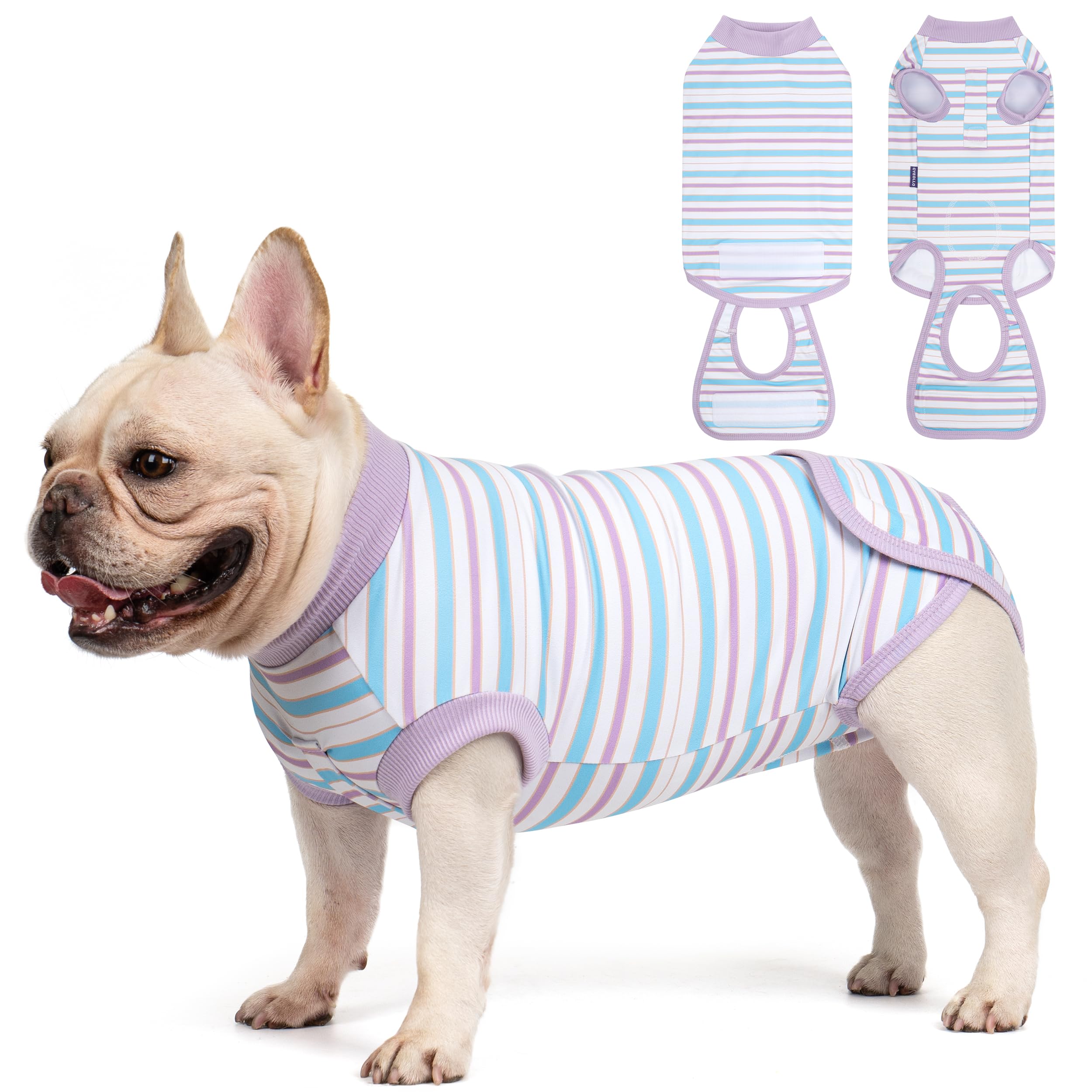 Amazon.com : cyeollo Recovery Suit for Dogs Surgery Suit Female Spay ...