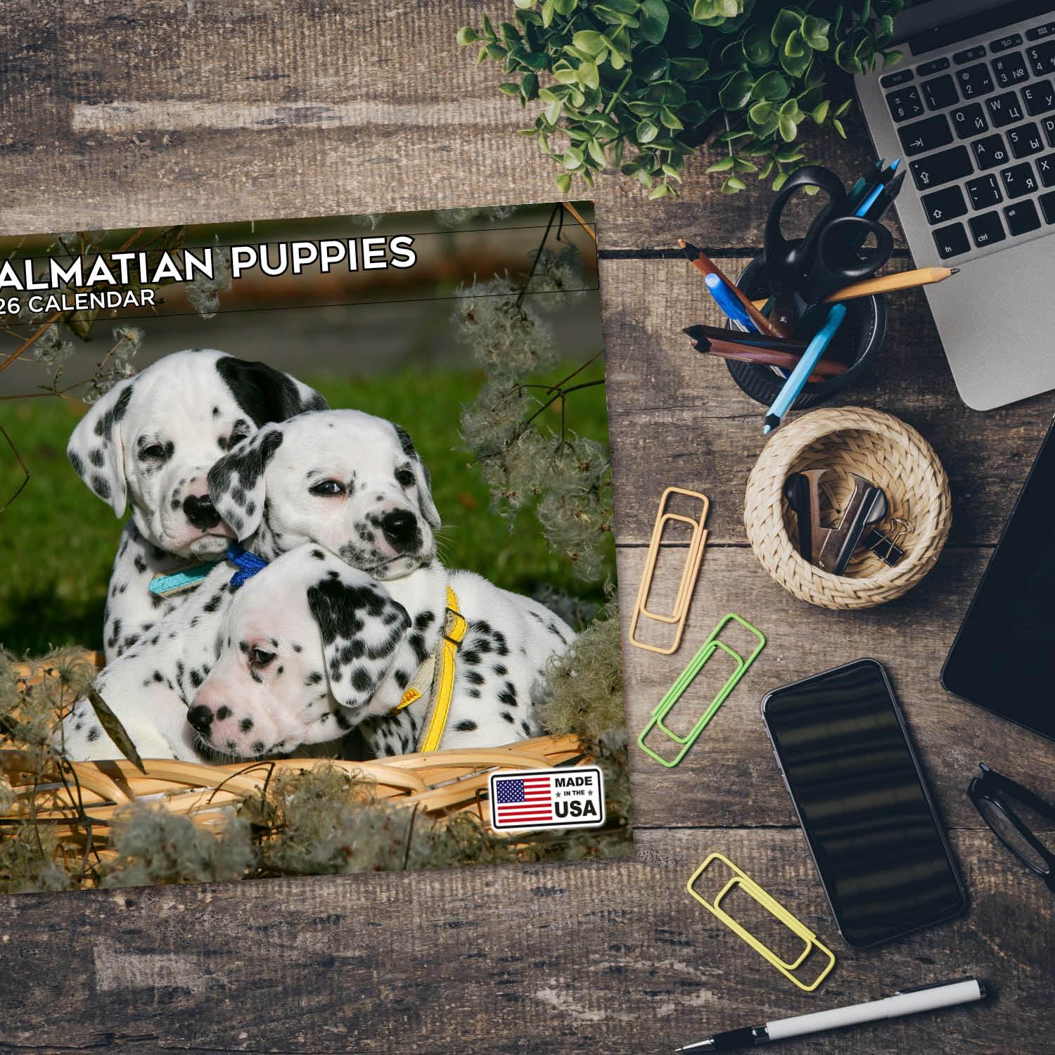 Snapklik.com : 2026 Dalmatian Pups Calendar - Dog Breed Wall Calendar ...