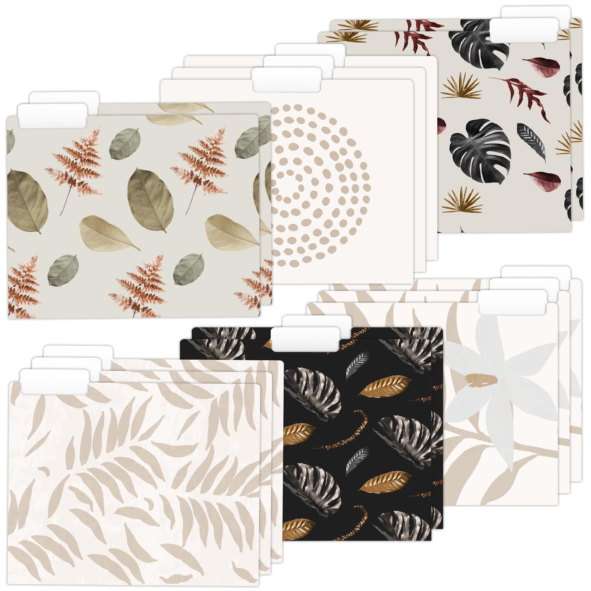 Amazon.com : Xamora SHOP 15 Decorative File Folders, 6 Elegant & Classy ...