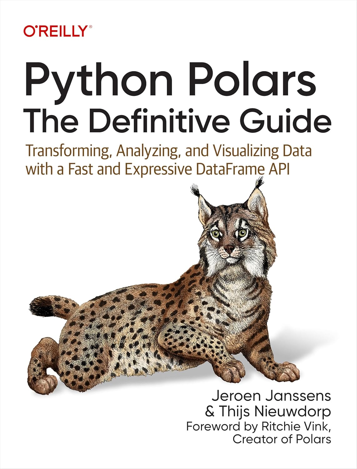 Python Polars: The Definitive Guide: Transforming, Analyzing, and ...