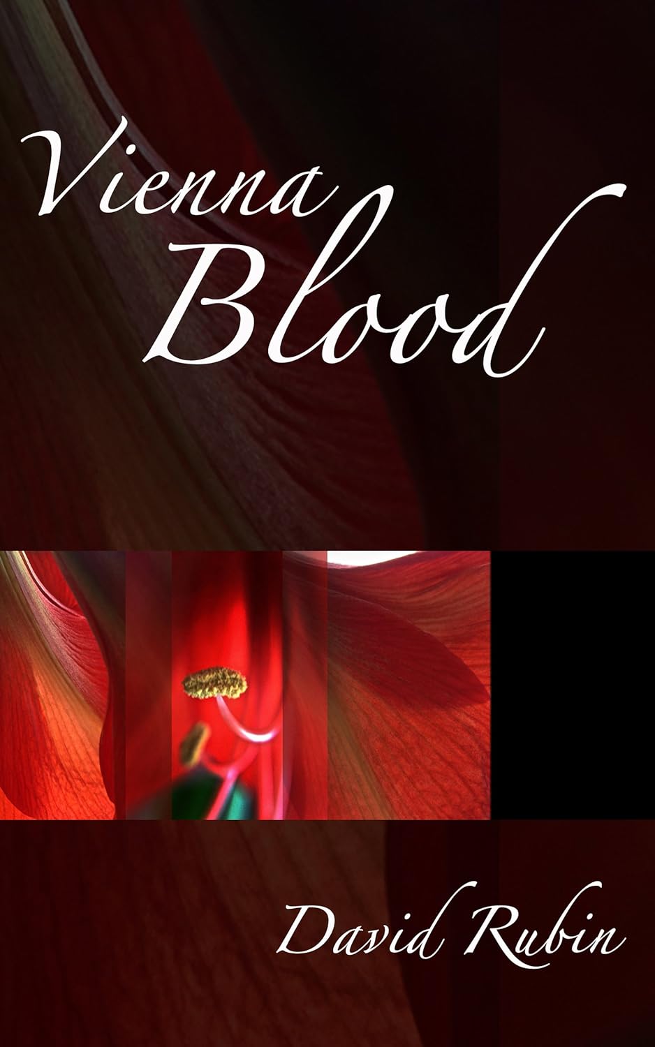 Vienna Blood - Kindle edition by Rubin, David. Literature & Fiction ...