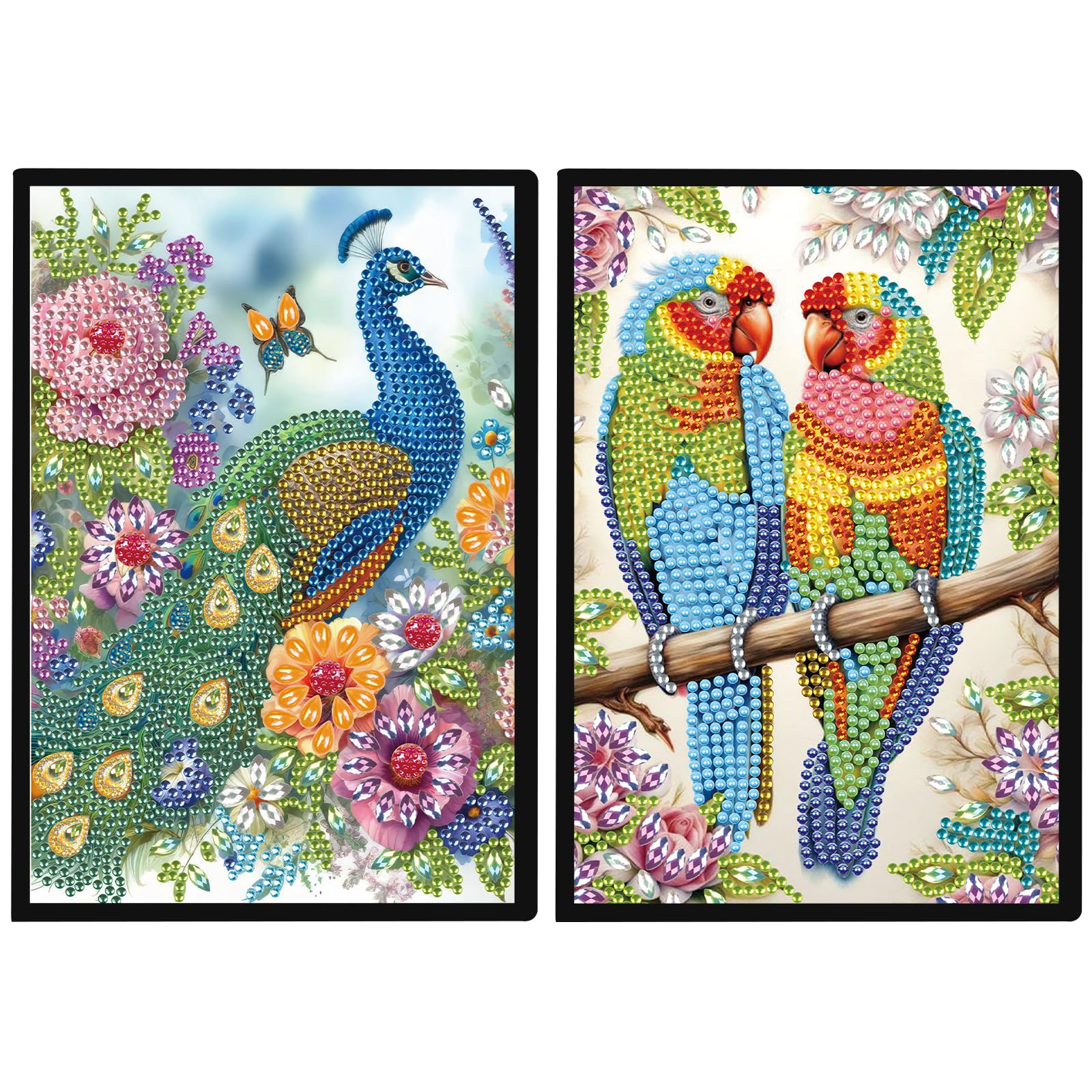 Amazon.com: DCIDBEI 2 Pack A5 Diamond Art Painting Notebooks Parrot ...
