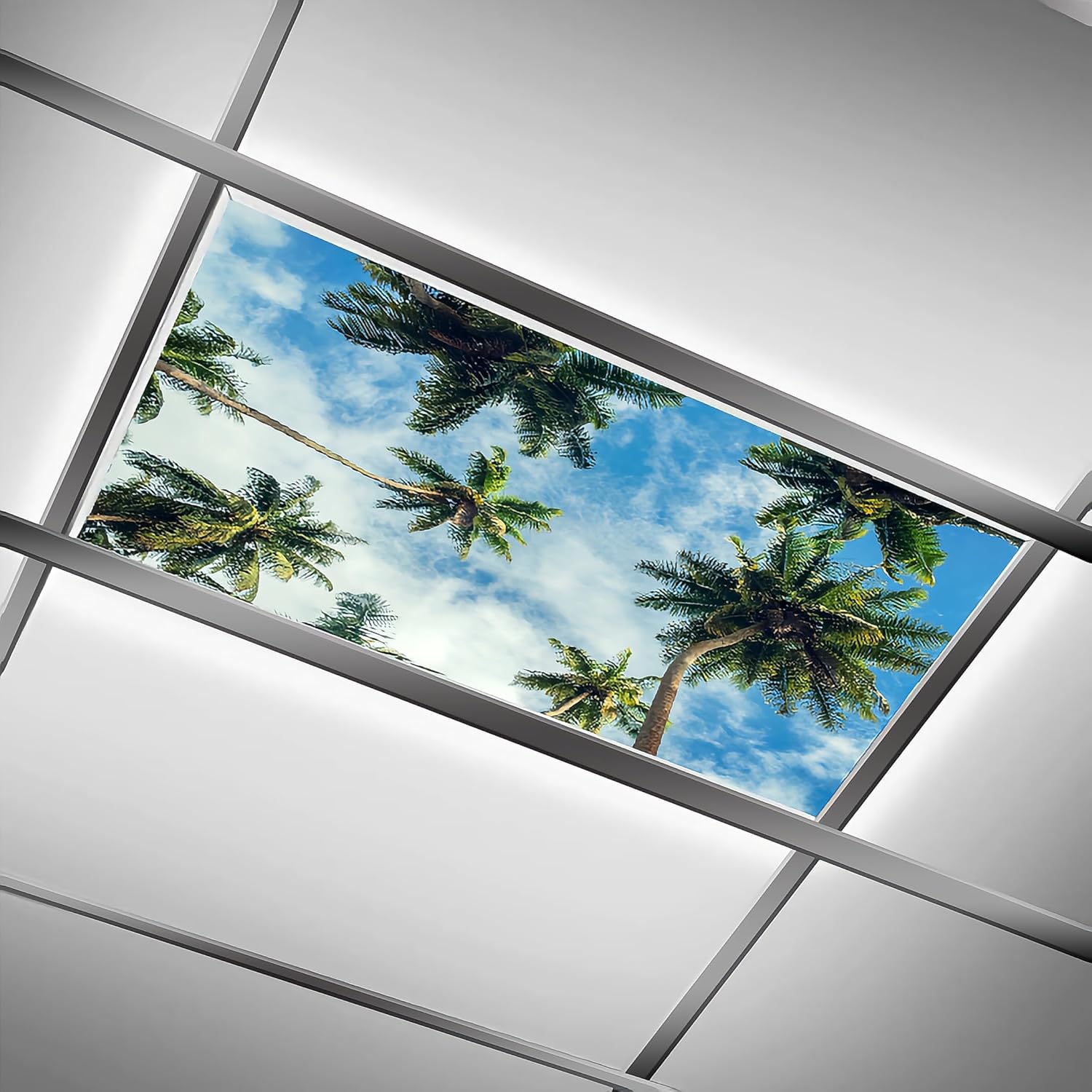 Amazon.com: DIQISHIZHU Fluorescent Light Covers for Classroom Office ...