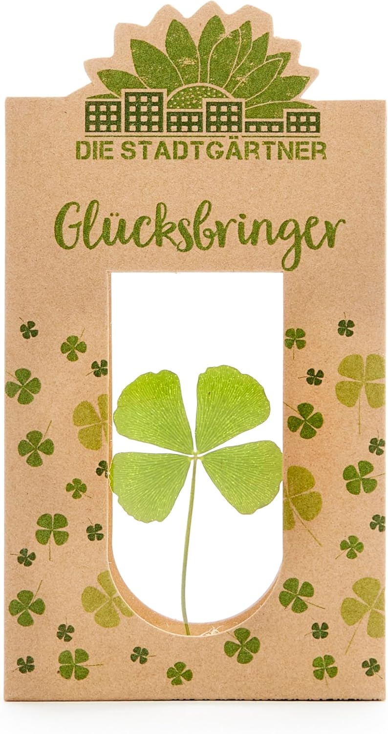 Die Stadtgärtner Lucky charm, real four-leaf clover as a good luck ...