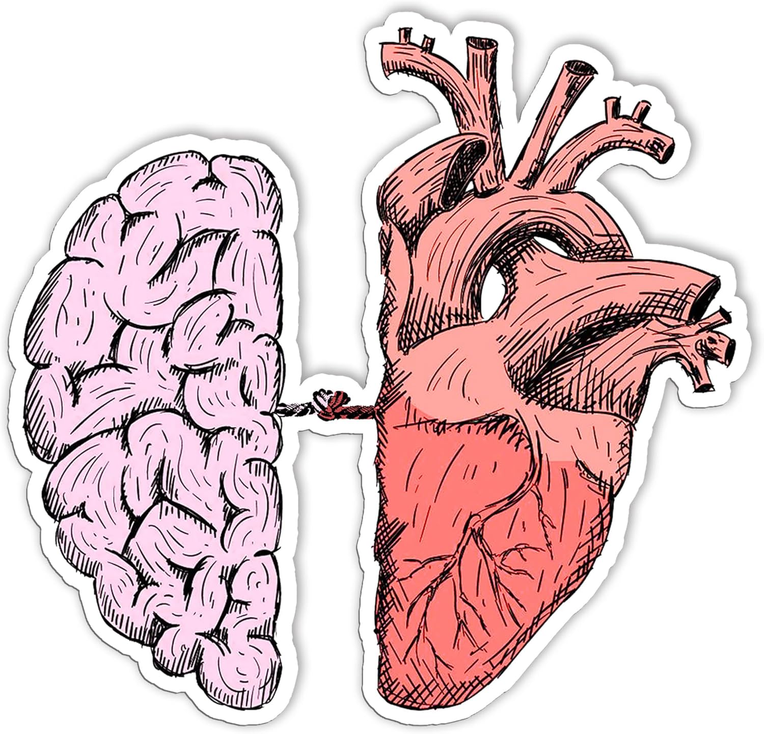 Amazon.com: Cute Brain and Heart Stickers Therapist Stickers Funny ...