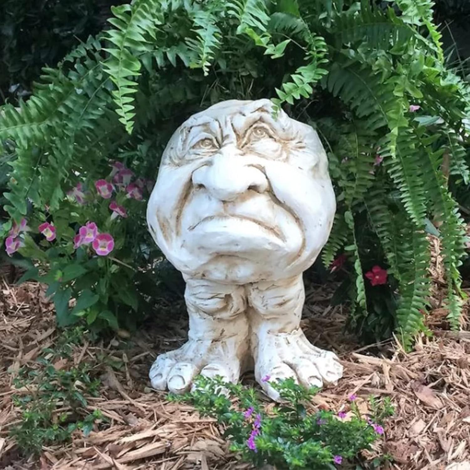 Amazon.com : Sheremart Whimsical Face Planter - 6inch Funny Wizard Head ...