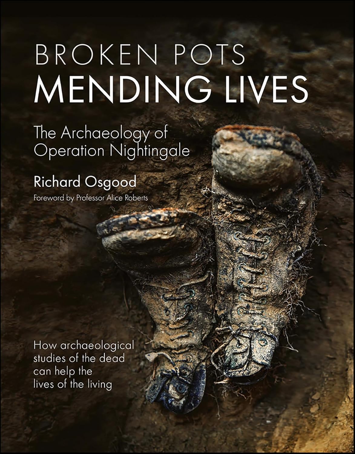 Amazon.com: Broken Pots, Mending Lives: The Archaeology of Operation ...