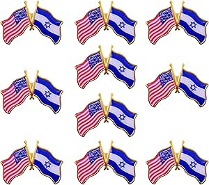 Amazon.com: NIBERDA Us Israel Flag Lapel Pin, Usa American And Israeli ...