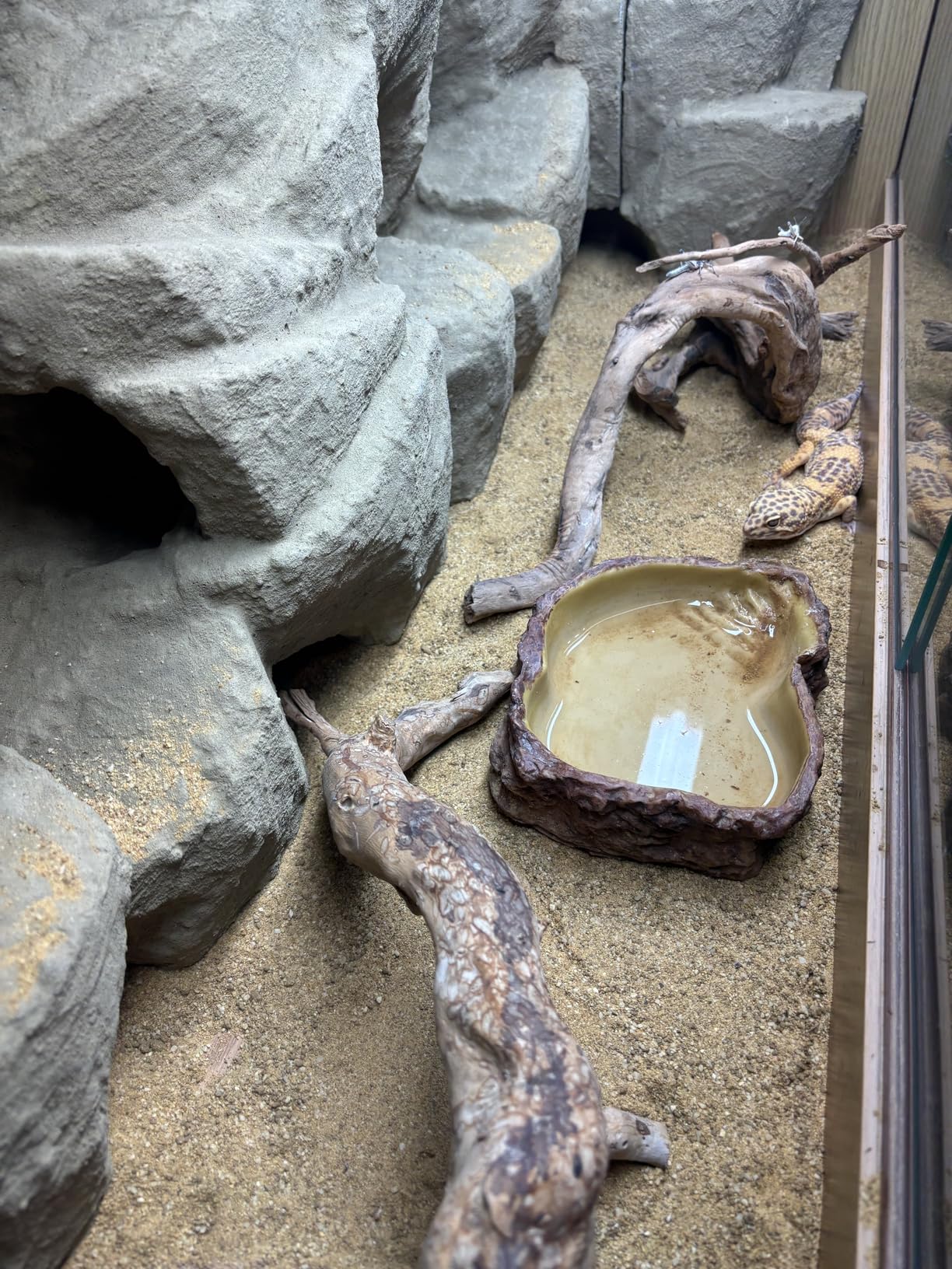 ProRep Leo Life Substrate 10L | Leopard Gecko Substrate | Mixed Desert ...