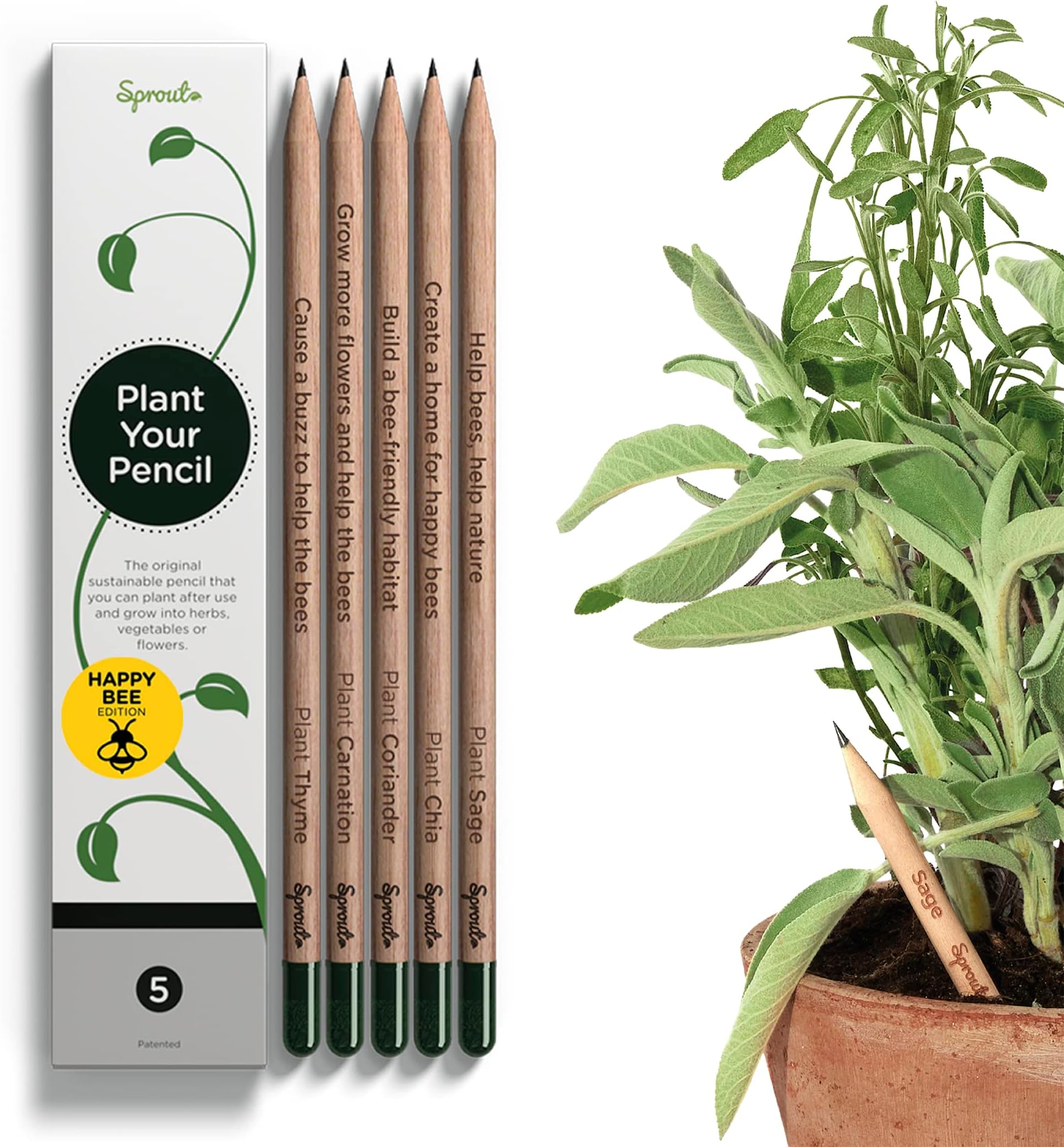 Amazon.com : SproutWorld Plantable Pencils | Grow a Garden Box | Wood ...