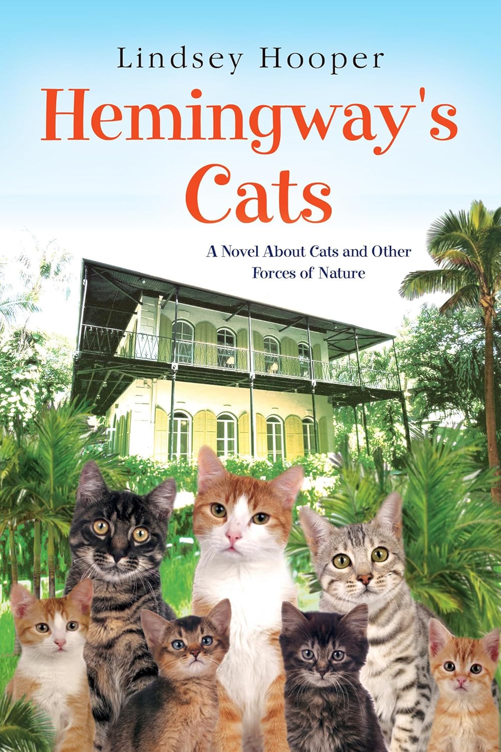 Amazon.com: Hemingway's Cats: 9781496729606: Hooper, Lindsey: Books
