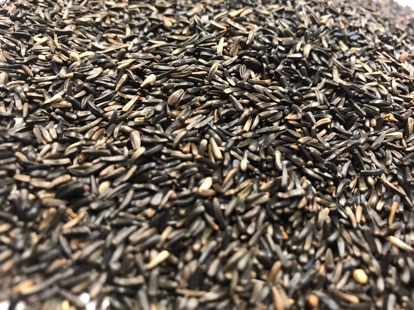 Buy 10kg Niger Seed WITH 10kg Peanuts Wild Bird Food Variety Pack by ...