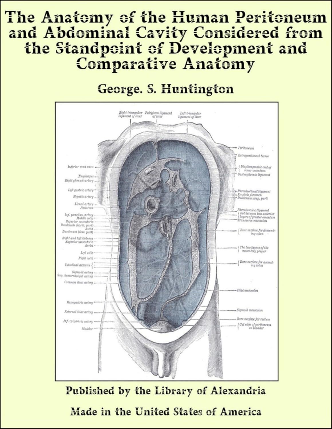 The Anatomy of the Human Peritoneum and Abdominal Cavity Considered ...