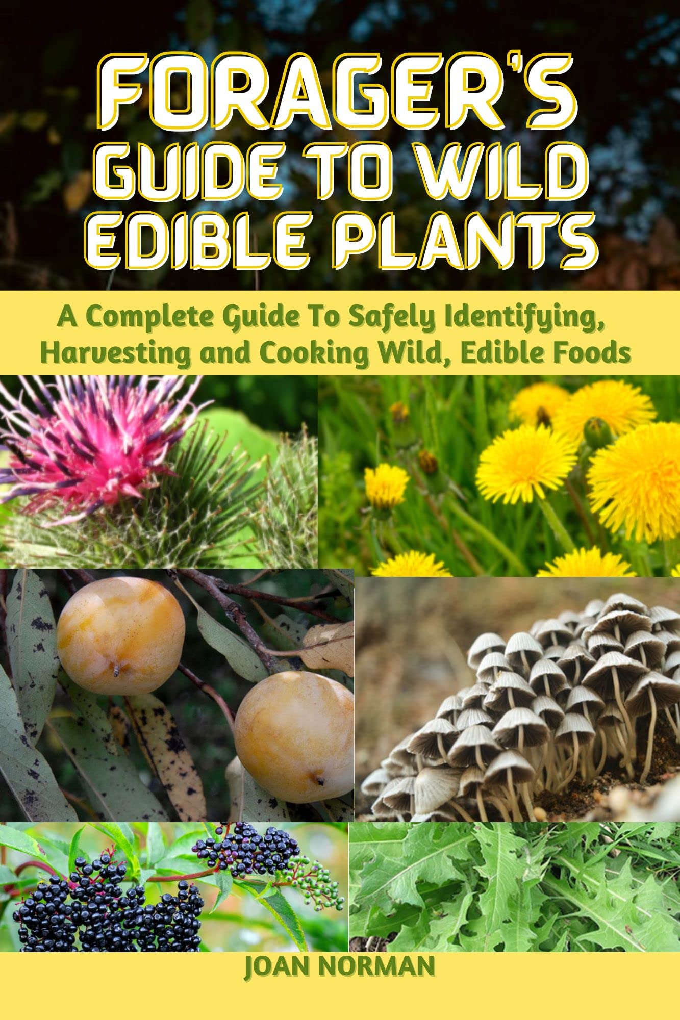 Buy FORAGER’S GUIDE TO WILD EDIBLE S: A Complete Guide To Safely ...