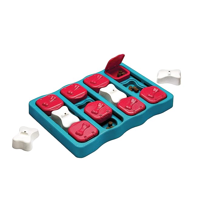 Buy Dog Brick Treat Dispensing Brain And Exercise Game For Dogs By Nina buy-dog-brick-treat-dispensing-brain-and-exercise-game-for-dogs-by-nina