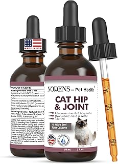 Understanding Muscle Spasms In Cats: Causes And Concerns | CyVigor