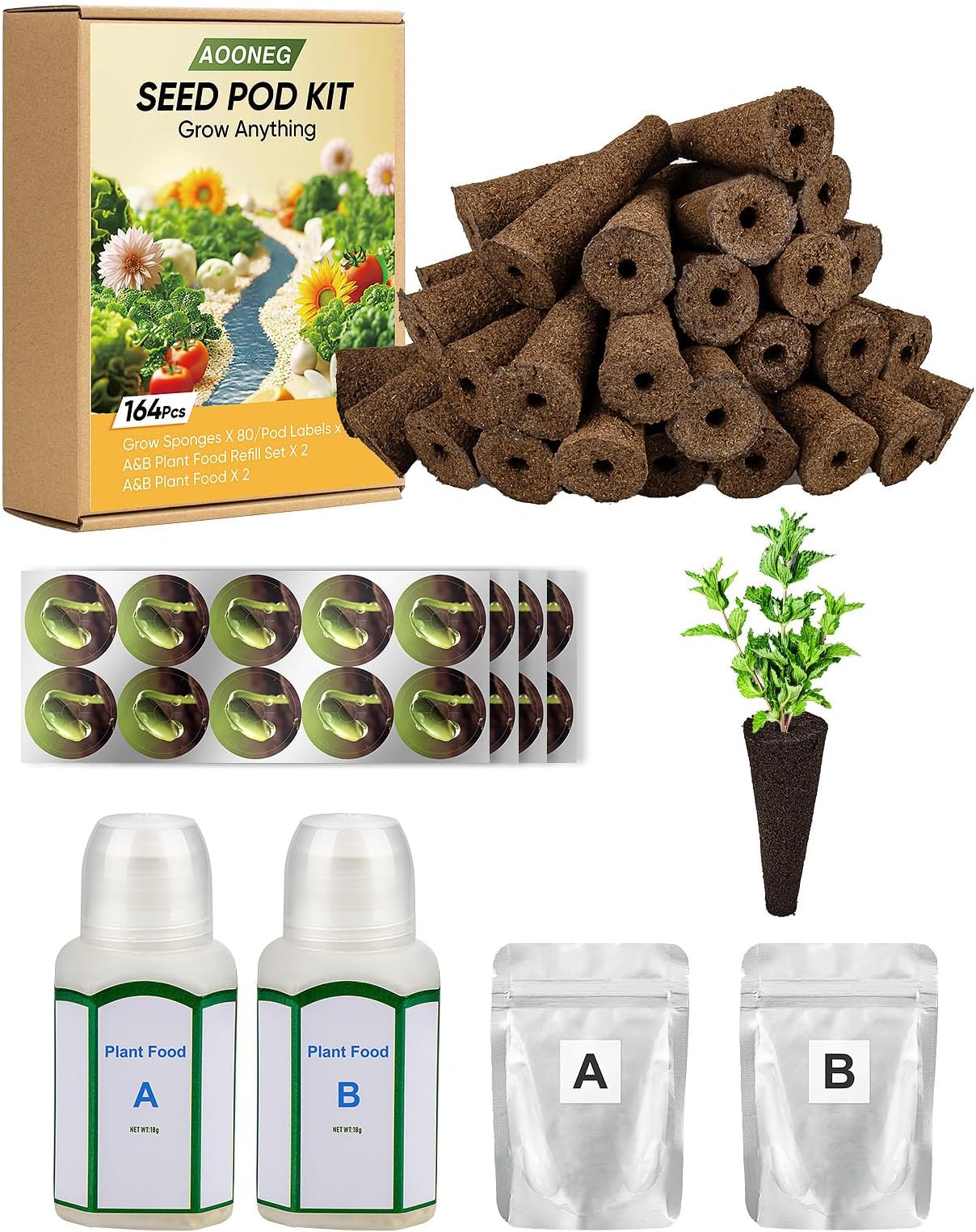 Amazon.com : Rainpoint 156pcs Gardening Seed Pods kit for Hydroponics ...