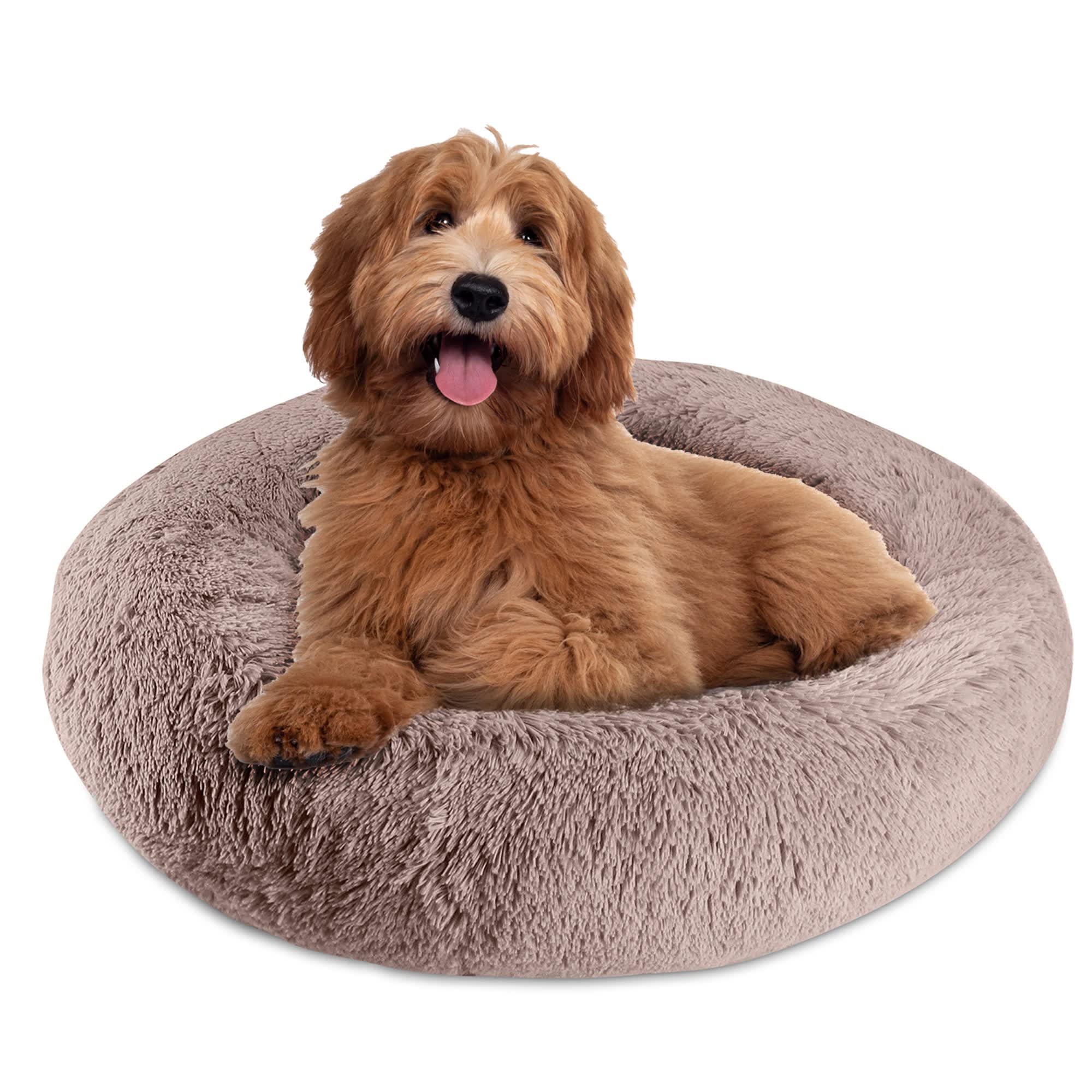 Calming Dog Beds Do They Work