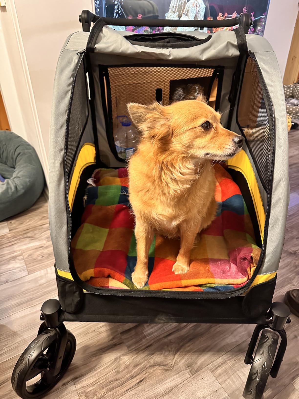 BingoPaw Extra Large Dog Buggy, Portable Dog Stroller 4 Wheels for ...