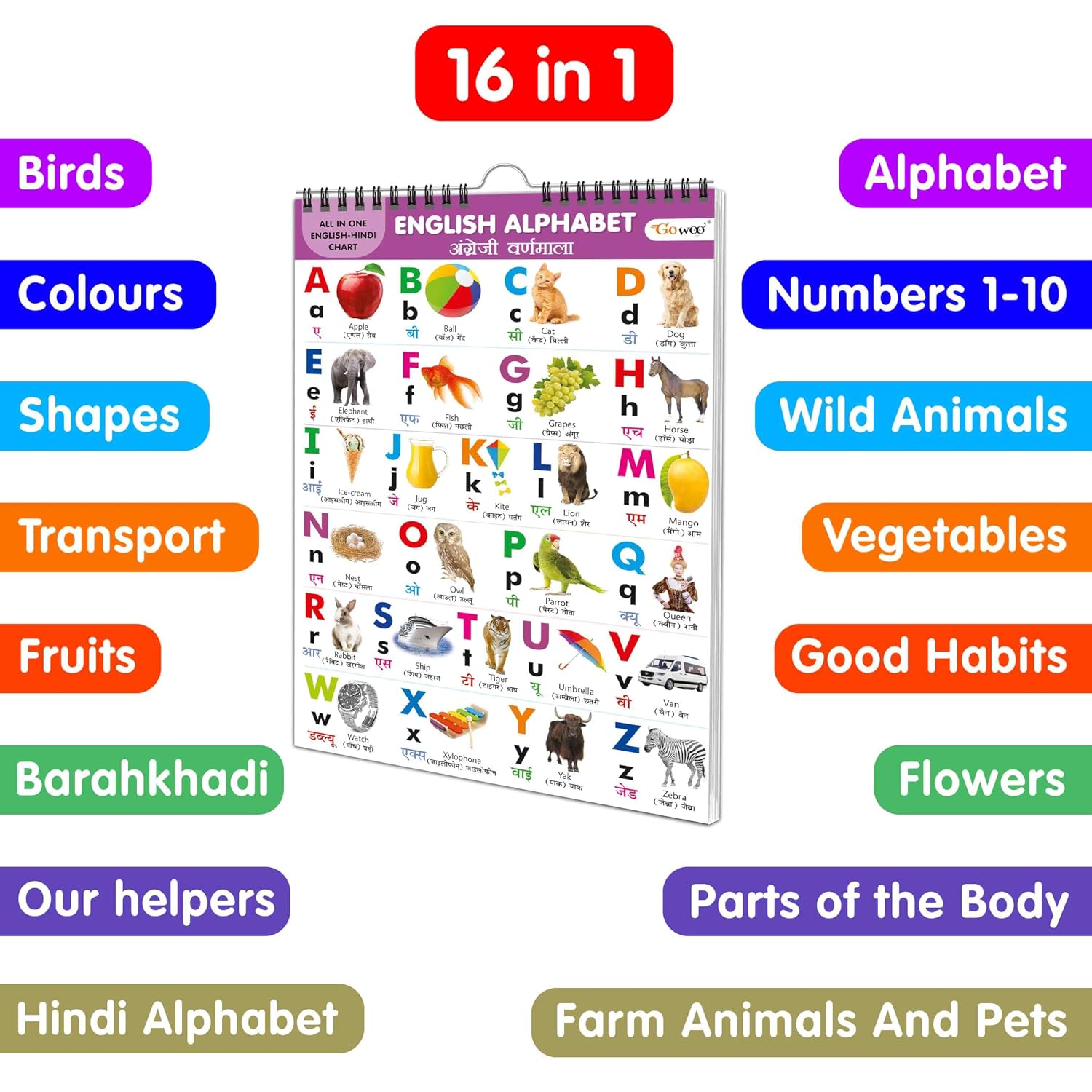 Buy My First ALL IN ONE SPIRAL CHART ENGLISH-HINDI : Collection of ...