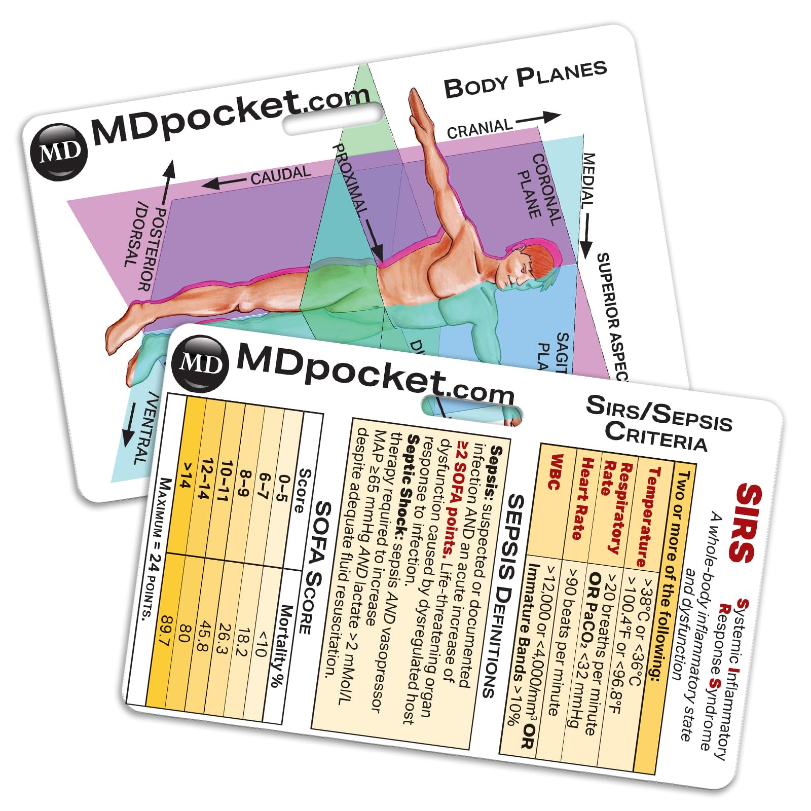 Snapklik.com : Rapid ID - Body Planes & Sepsis