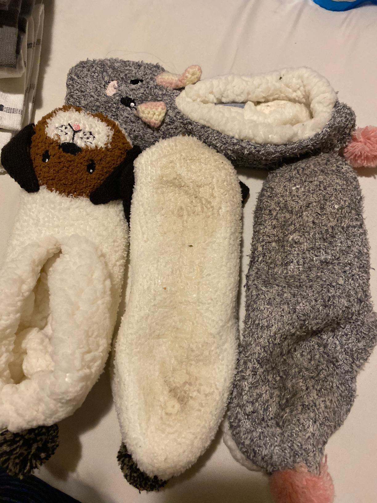 Jane Bleecker Womens 2 Pair Critter Socks, Grey_bunny/White_hound, 4-10 ...