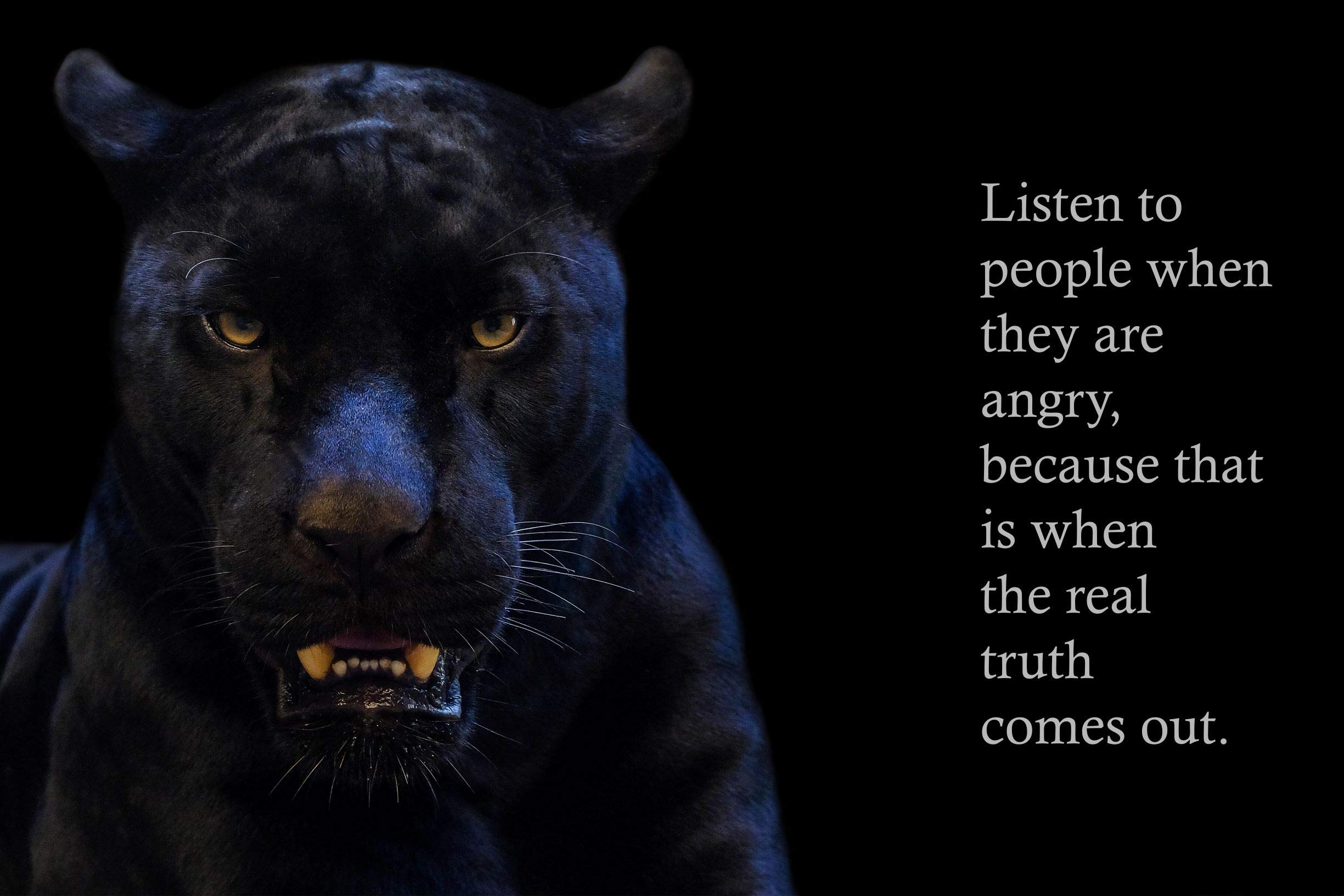 Famous Black Panther Quotes
