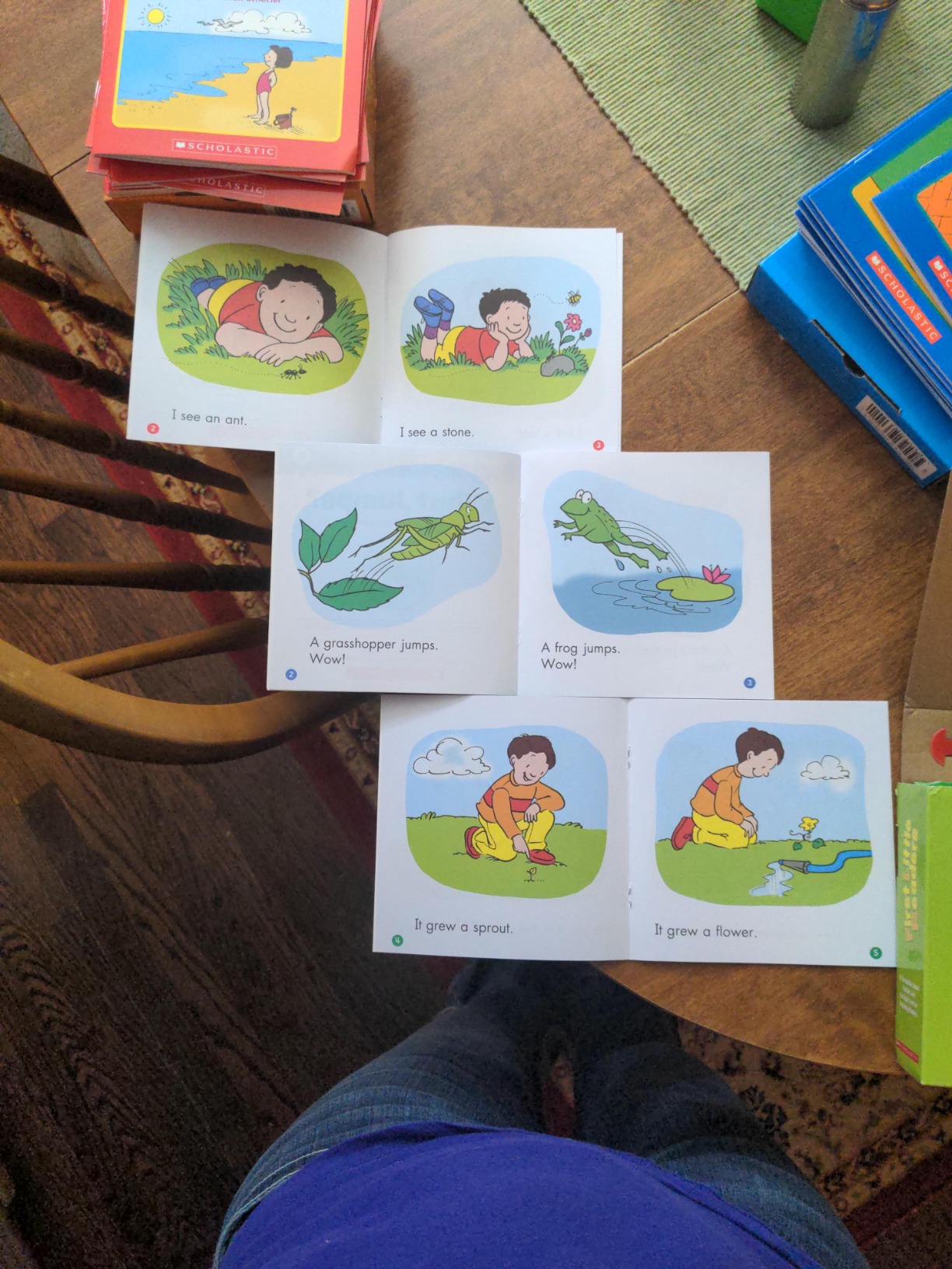 Amazon.com: First Little Readers Parent Pack: Guided Reading Level A ...