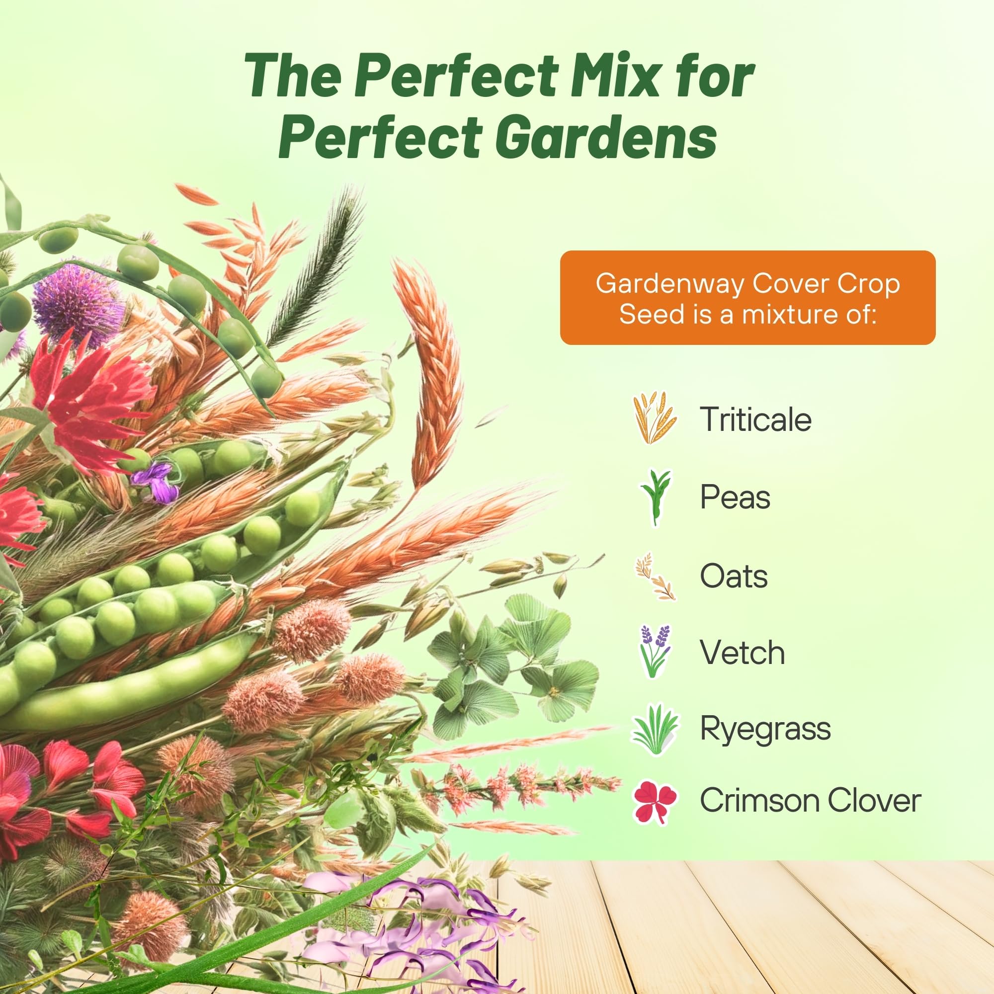 Cover Crop Seeds For Gardens Cover Crops: Function And Purpose
