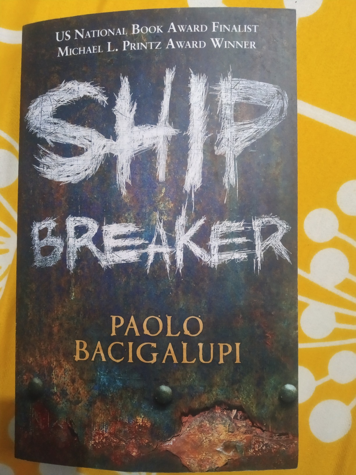 Ship Breaker (Ship Breaker, 1) : Bacigalupi, Paolo: Amazon.in: Books