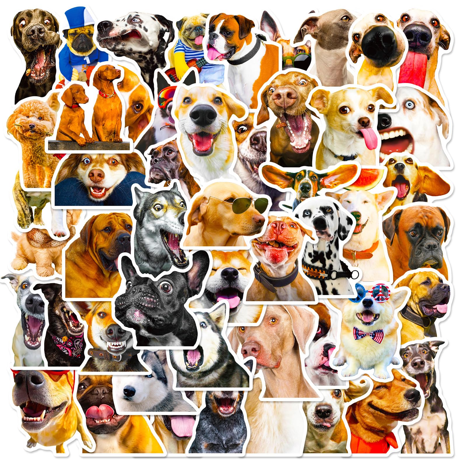 Amazon.com: 100 Pieces Funny Meme Dog Stickers for Laptop Journaling ...