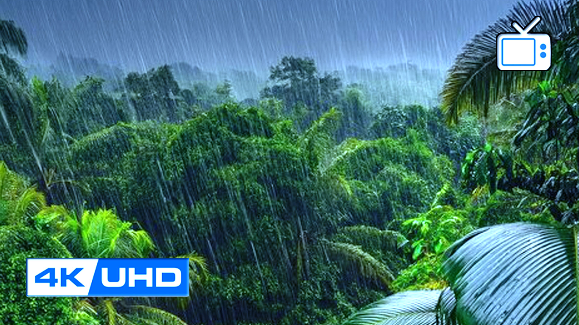 Jungle Oasis - Tropical Rainforest Nature Sounds Screensaver - App on ...