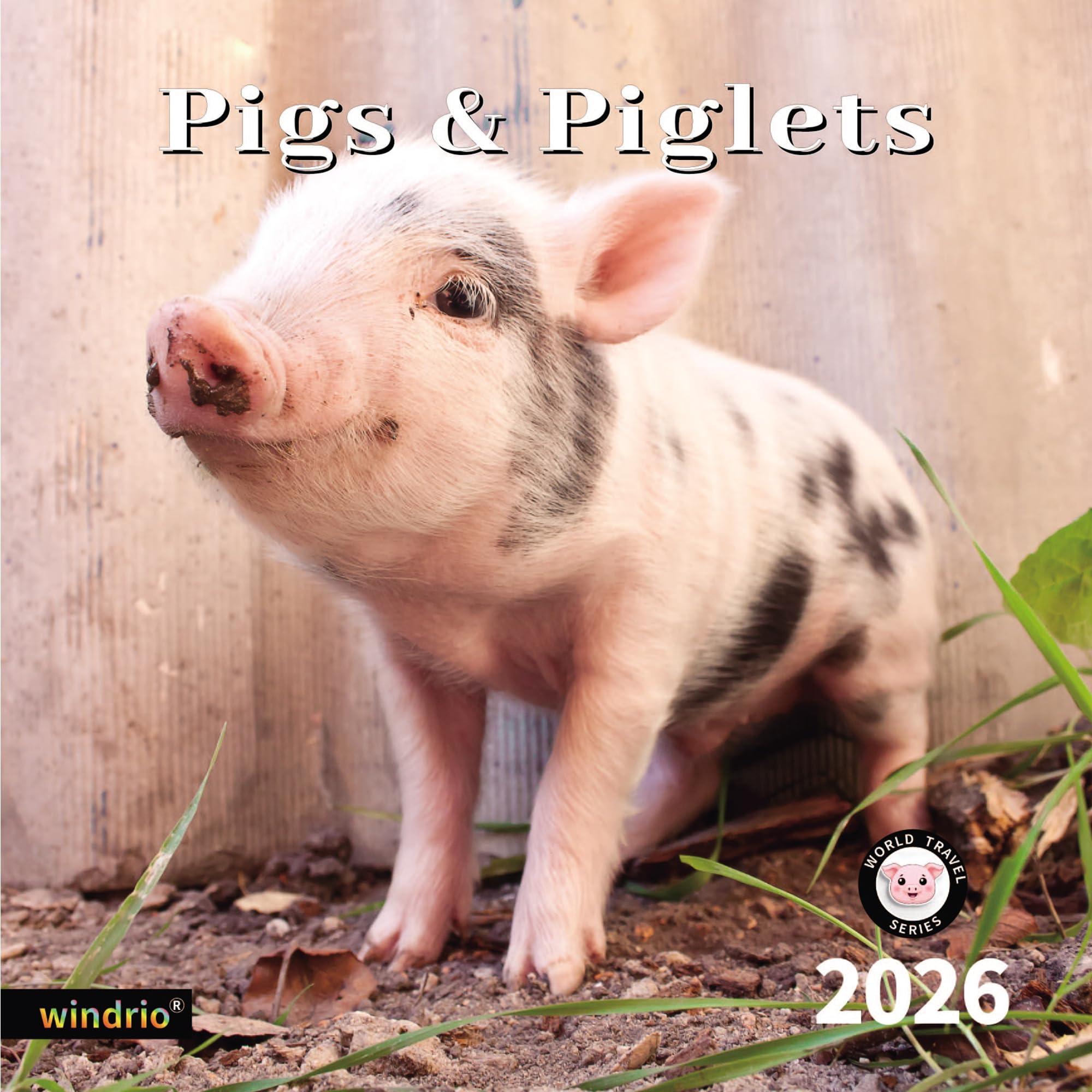 Snapklik.com : 2026 Wall Calendar,Calendar 2026, November 2025 ...