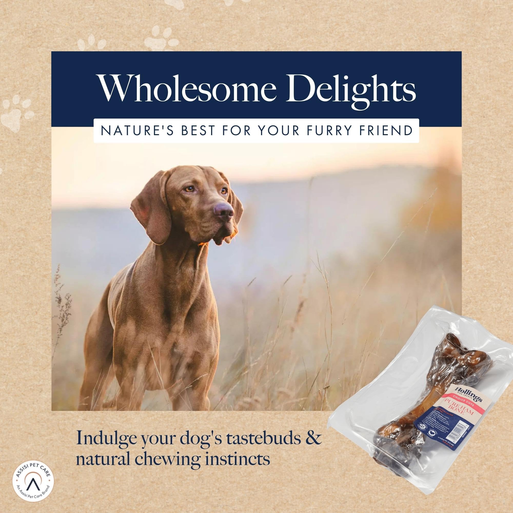 Hollings Parma Ham Bones For Dogs Wholesale Munch & Crunch Serrano Ham