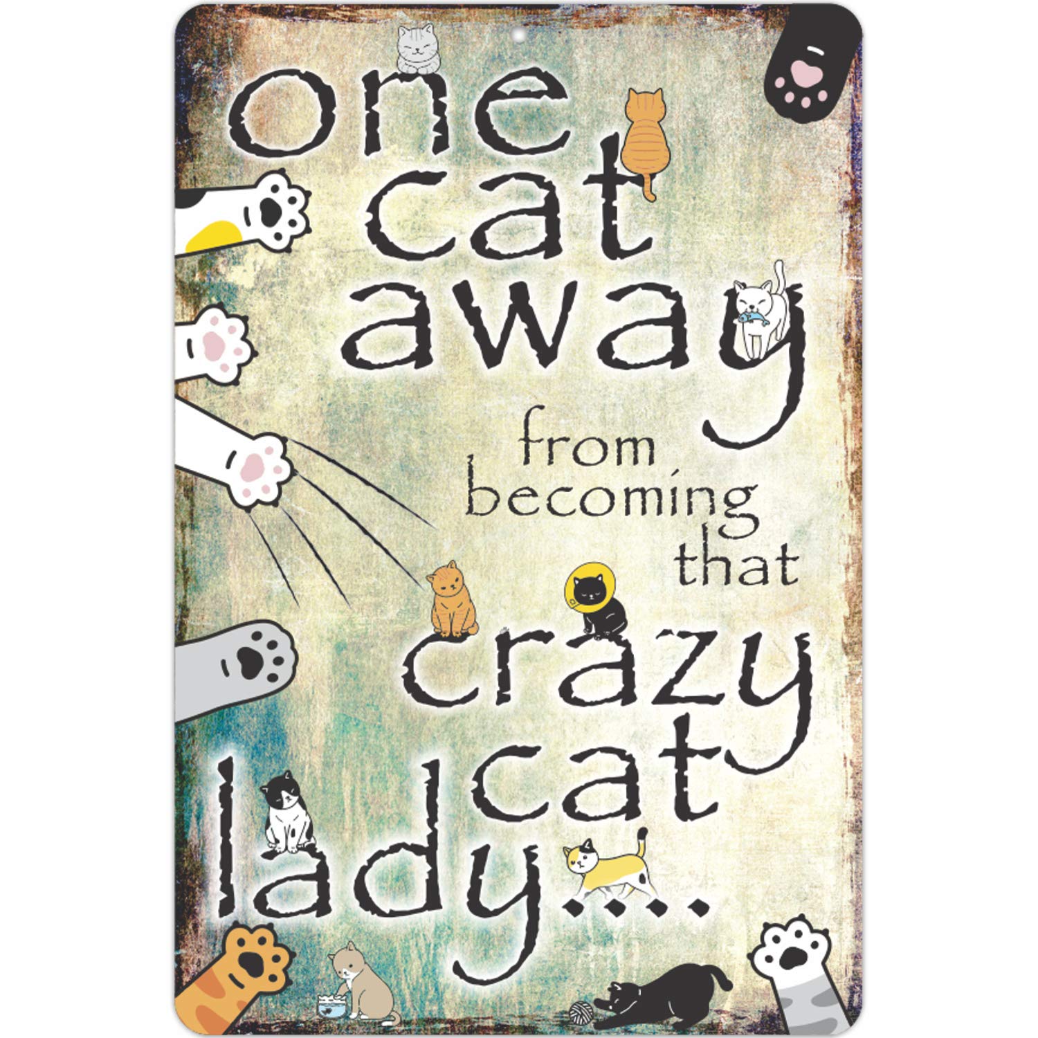 Amazon.com: ATX CUSTOM SIGNS - Funny Cat Lady Signs - One cat Away from ...