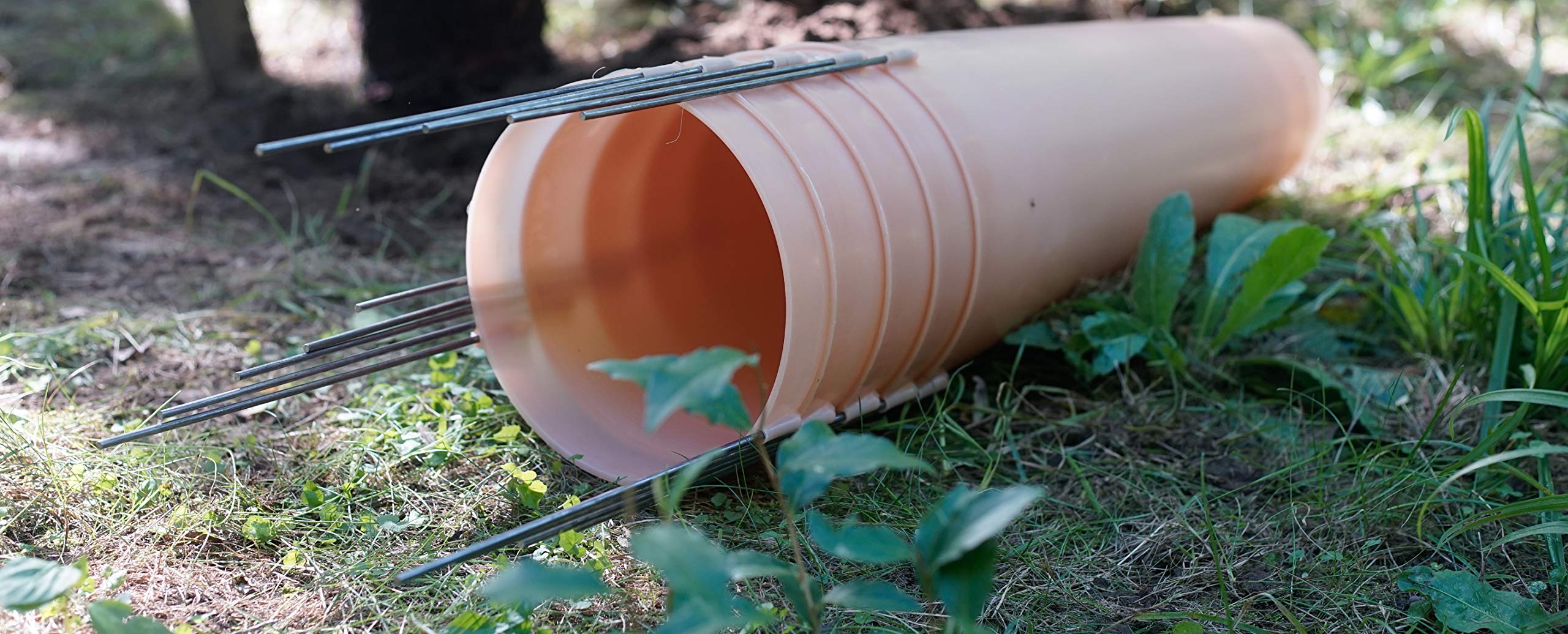 Amazon.com : Tree Sentry Seedling Shelter (20) : Patio, Lawn & Garden