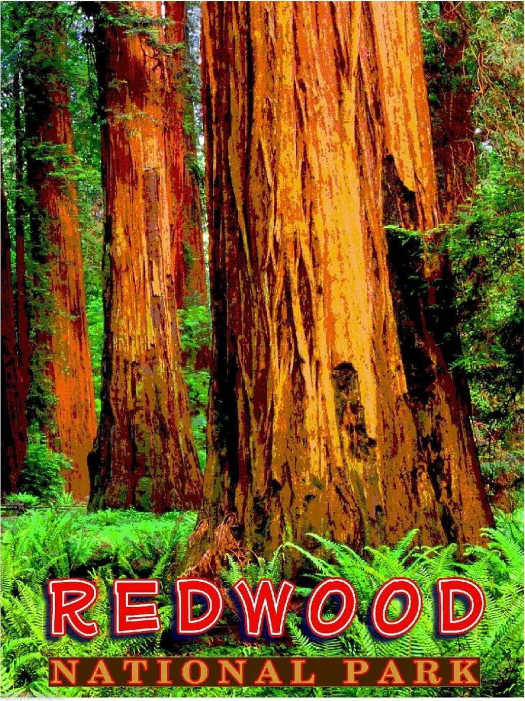 Amazon.com: TYmall Metal Sign Wall Plaque 8X12 Inch Redwood National ...