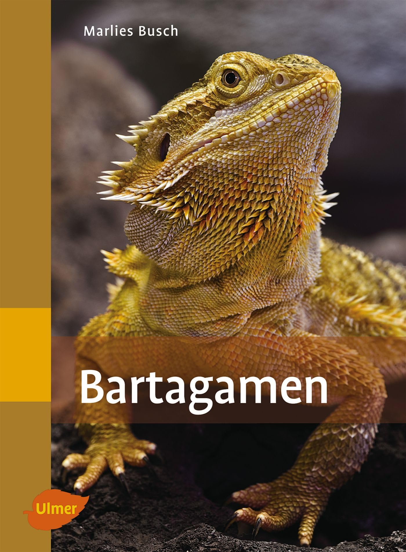 Bartagamen : Busch, Marlies: Amazon.de: Bücher