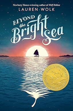 Beyond the Bright Sea: Wolk, Lauren: 9781101994856: Amazon.com: Books