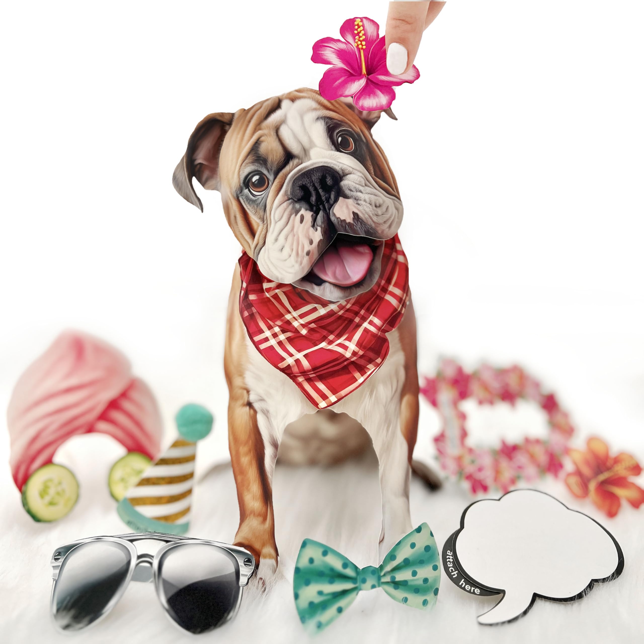 Amazon.com : Freshcut Paper Pop Up Pet Cards, Gifts for Dog Lovers ...