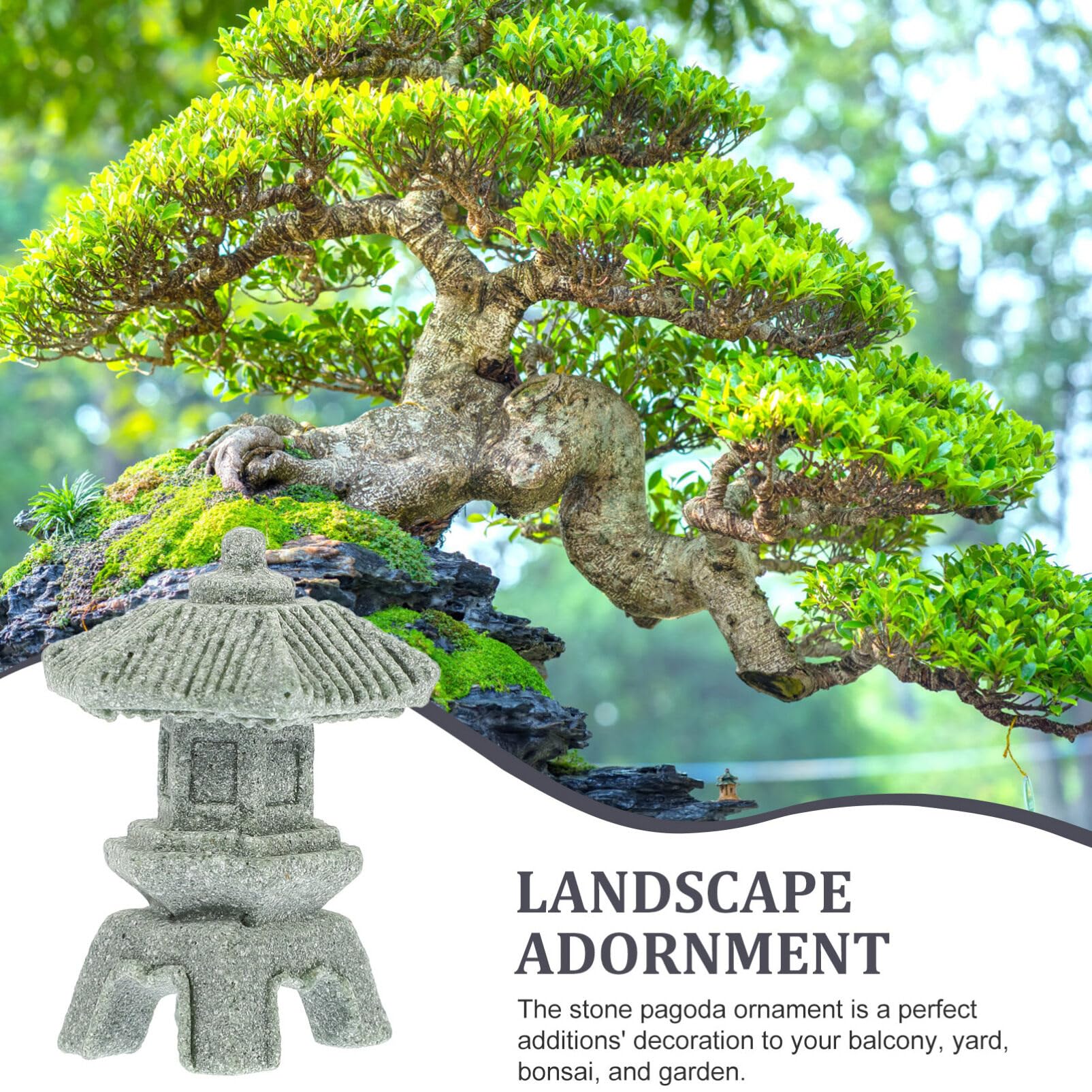 Japanese Pagoda Bonsai