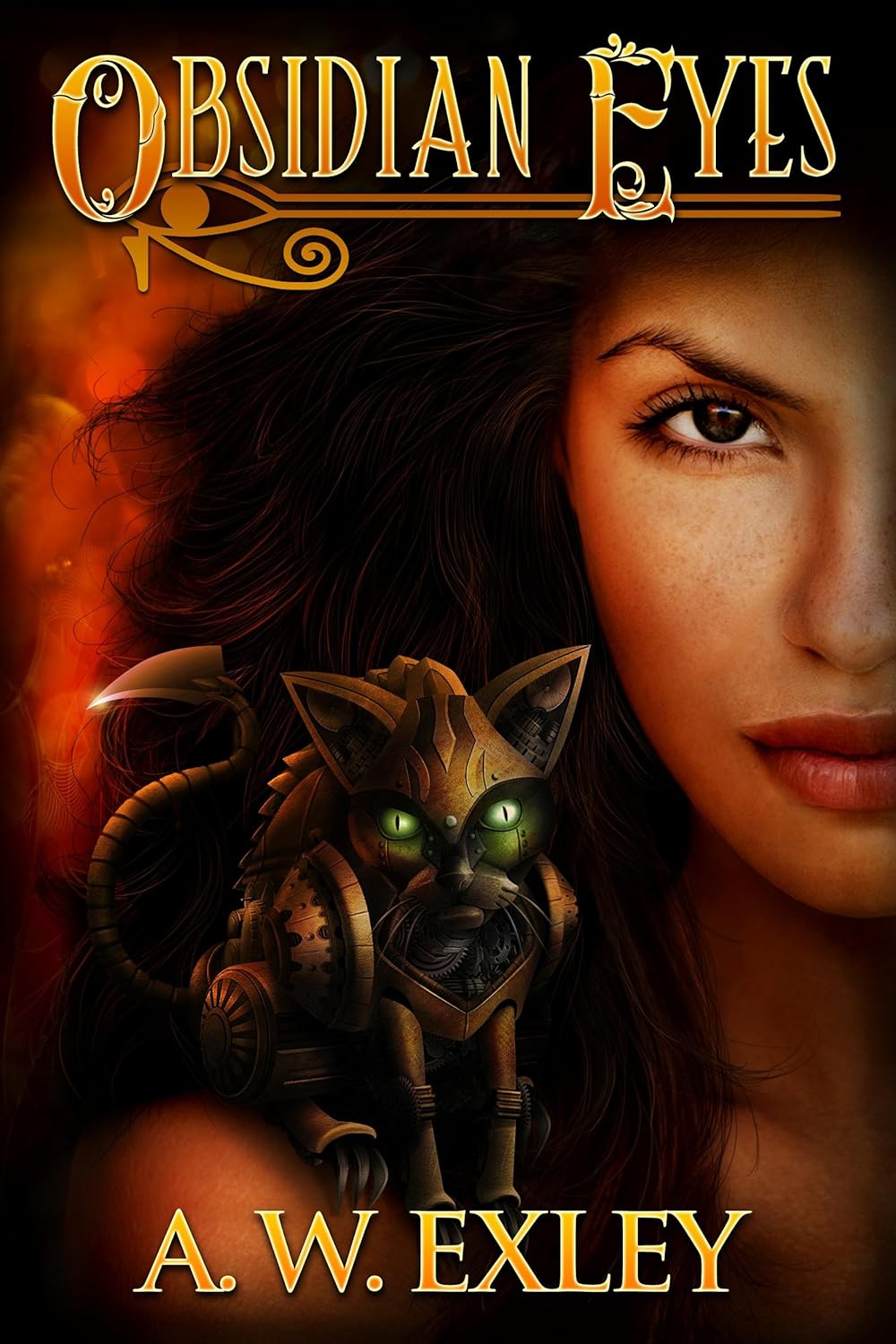 Obsidian Eyes: A.W. Exley: 9781620075036: Amazon.com: Books