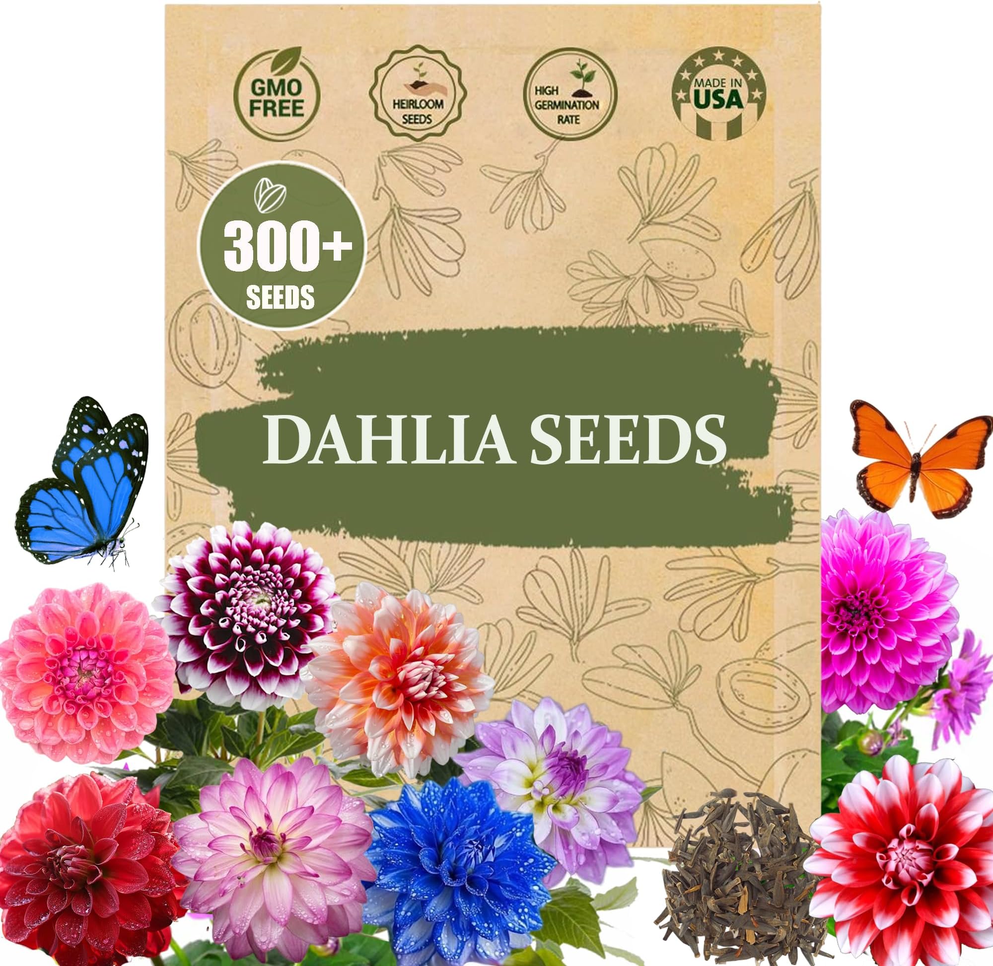 Amazon.com : 100+ Rare Mix Dahlia Flower Seeds - Easy to Grow Dahlia ...