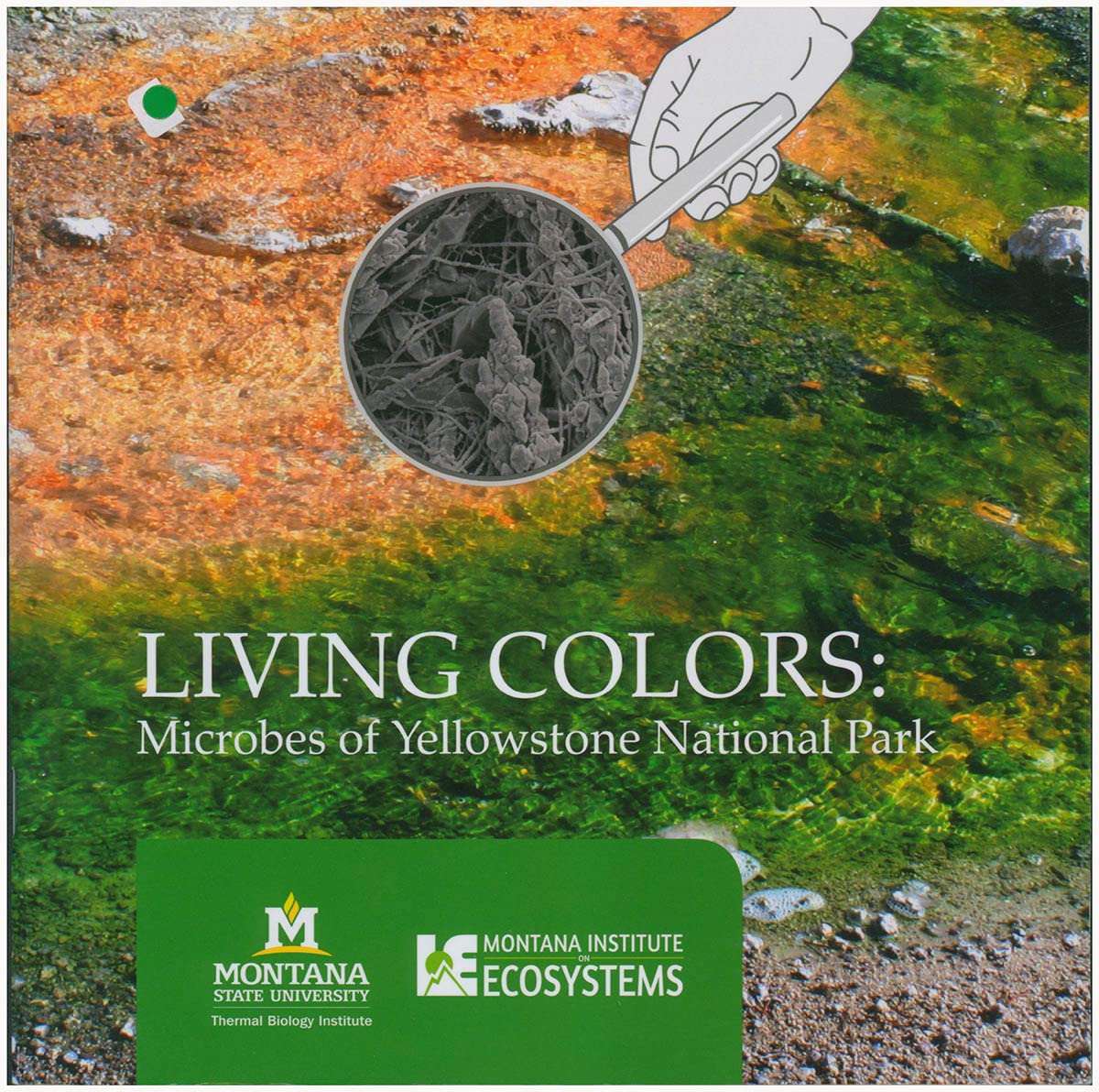 Living Colors: Microbes of Yellowstone National Park: Montana State ...