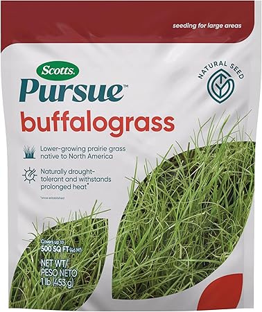 Amazon.com : Scotts Pursue Buffalograss with Natural Seed, Seeding for ...