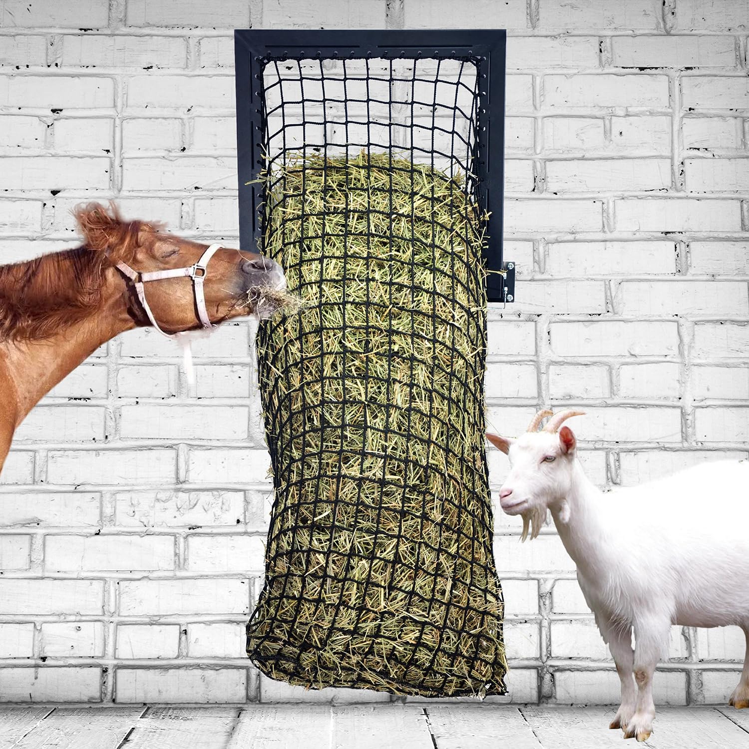 Snapklik.com : BUYYAH Hay Feeder Frame