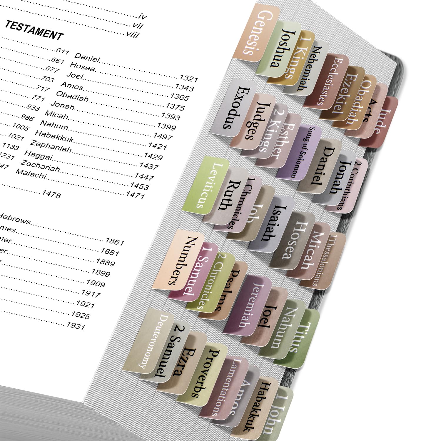 Snapklik.com : Bible Tabs-75 Tabs, Laminated Bible Tabs For Women And ...